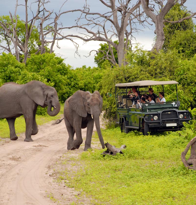 Africa Tour Packages